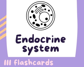 Anatomy and Physiology Cardiovascular System Flashcards | Etsy