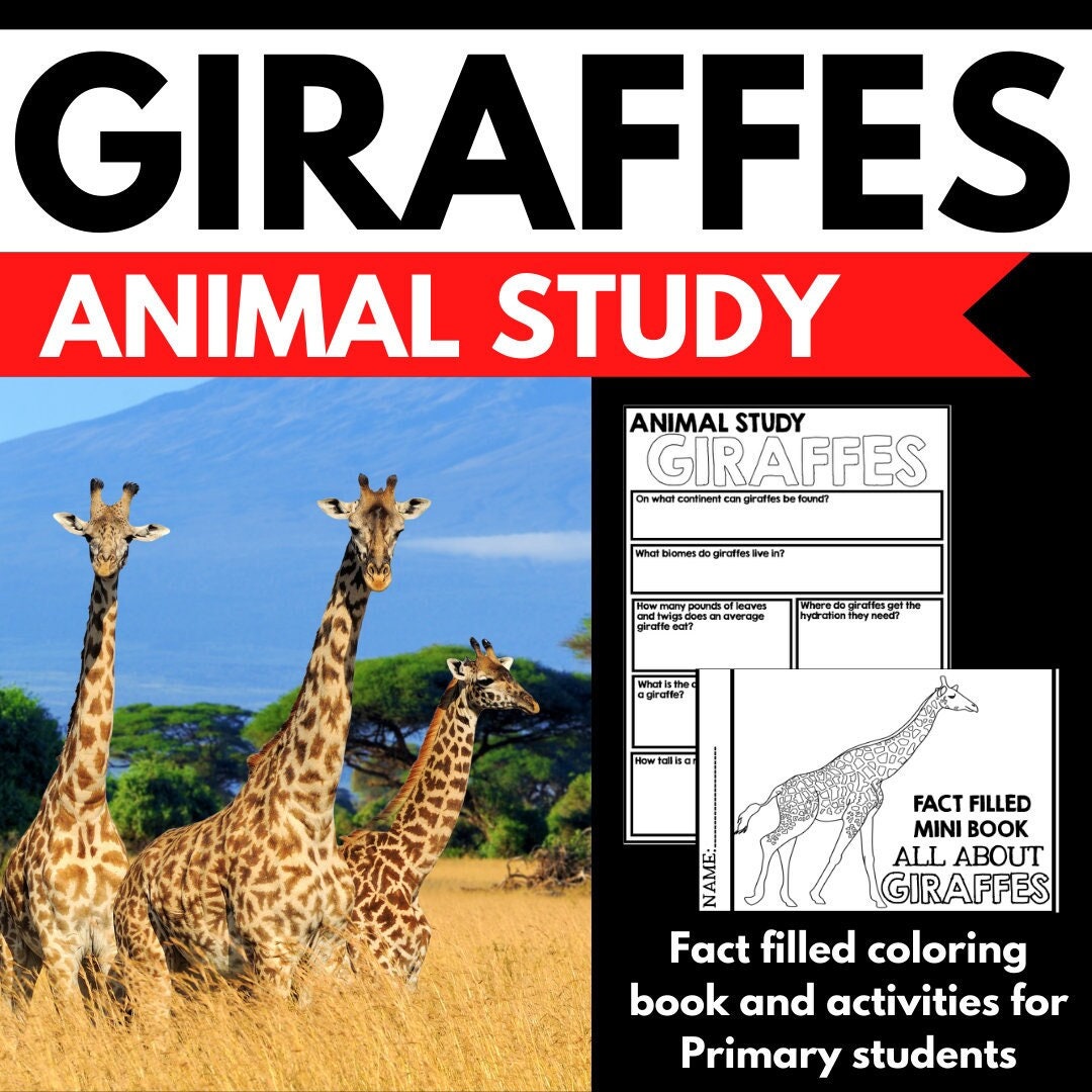 All About Giraffes Research Project - Animal Study - African Animals ...