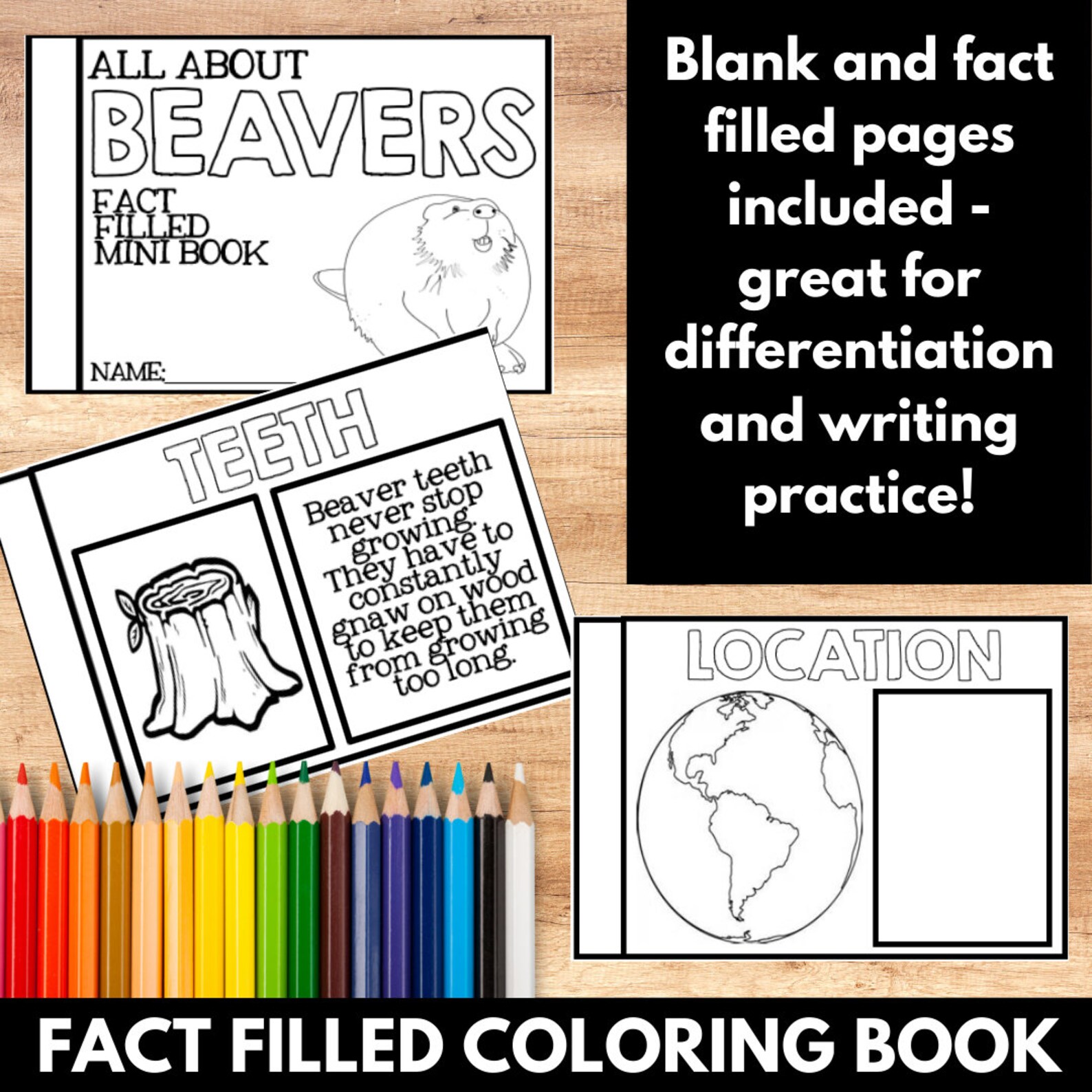 All About Beavers Research Project - Animal Study - Beaver Facts ...