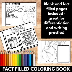 All About Beavers Research Project - Animal Study - Beaver Facts ...