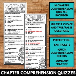 Hatchet Novel Study Comprehension Activities - Worksheets - Printables ...