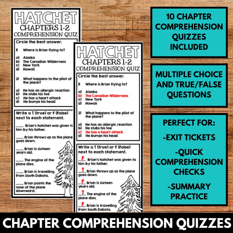 Hatchet Novel Study Comprehension Activities - Worksheets - Printables ...