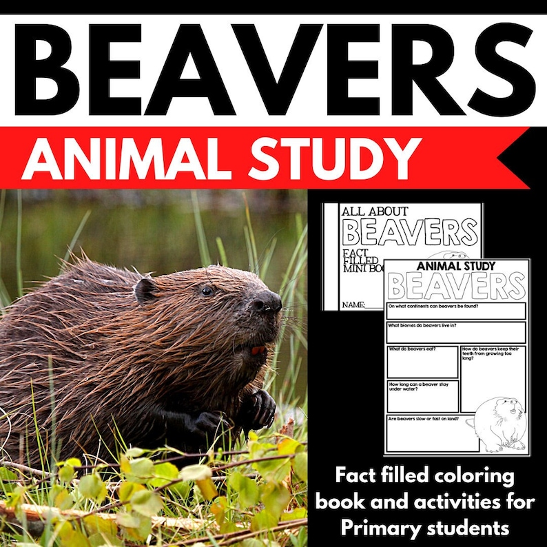 All About Beavers Research Project - Animal Study - Beaver Facts ...