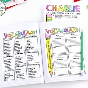 Charlie and the Chocolate Factory Novel Study Comprehension Activities ...