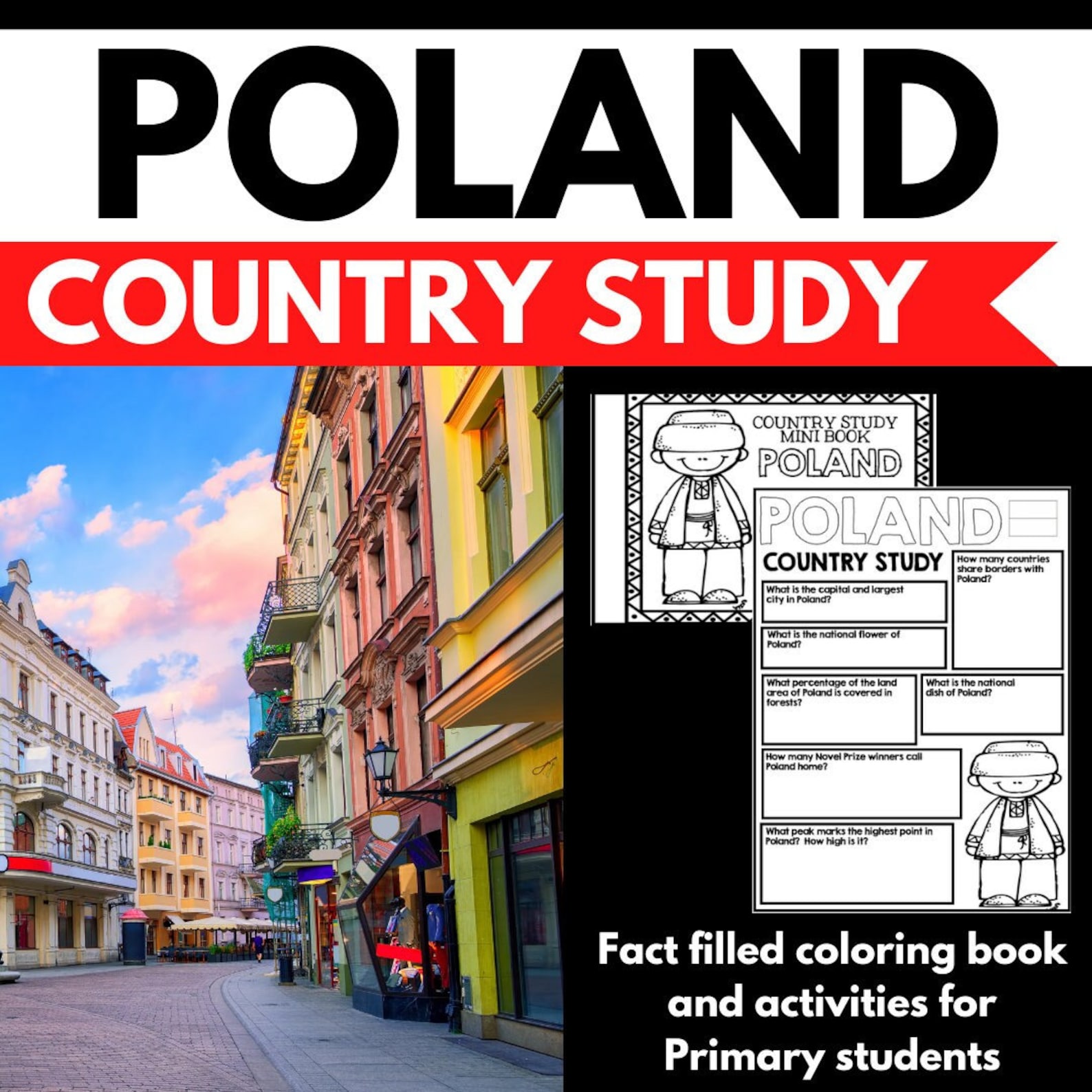 Poland Country Study – Printable Fact Book & Passport Activity - Etsy