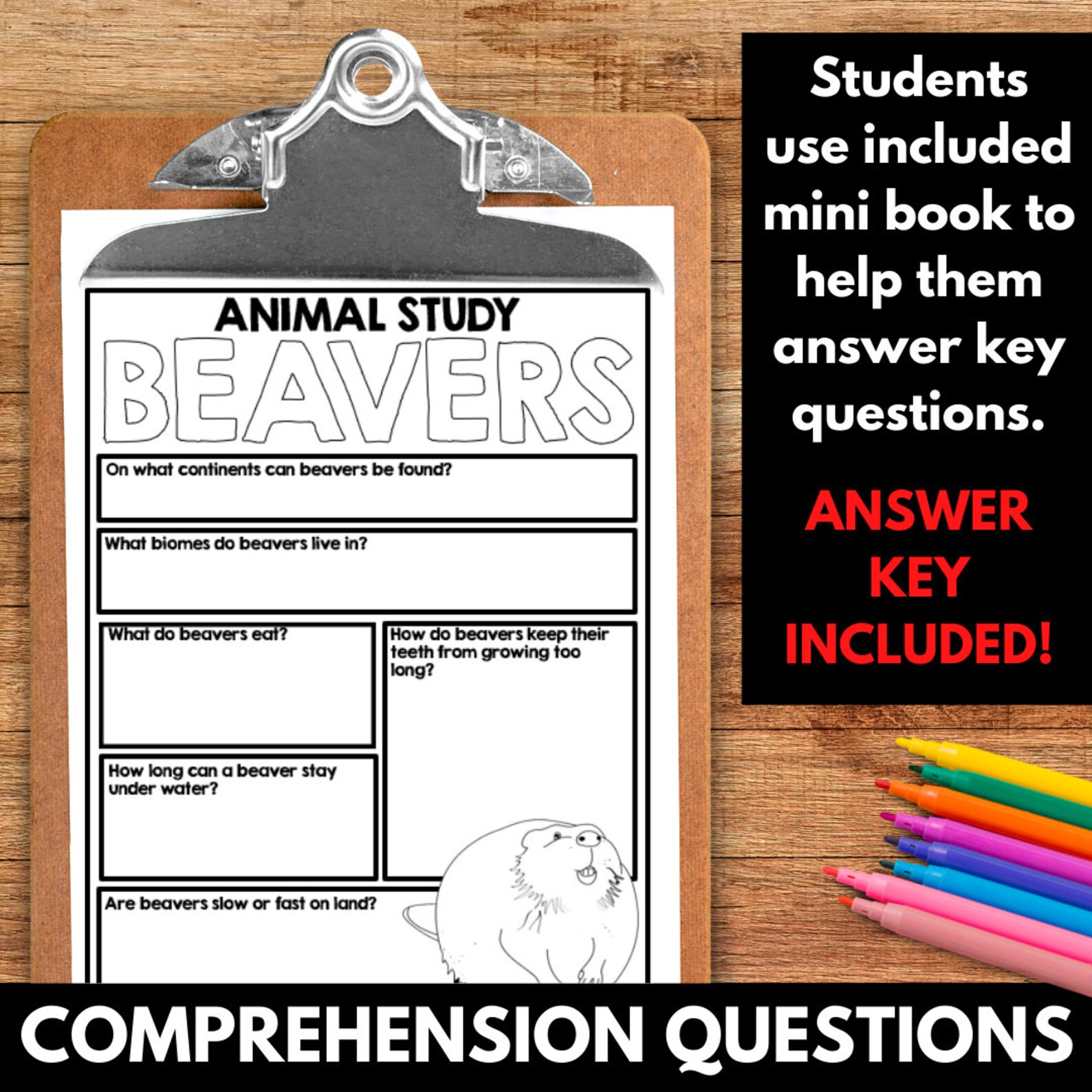 All About Beavers Research Project - Animal Study - Beaver Facts ...