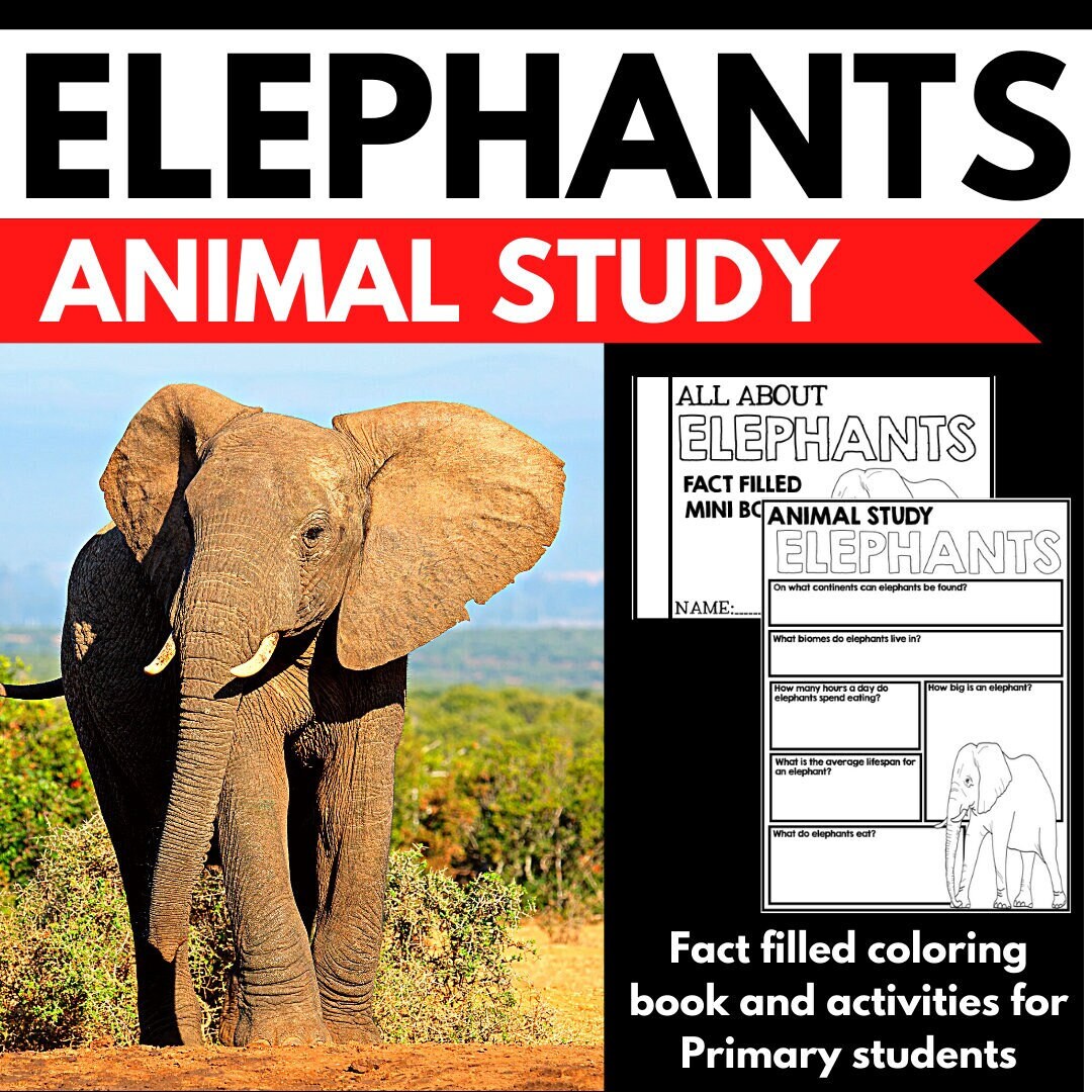 All About Elephants Research Project - Animal Study - African Animal ...