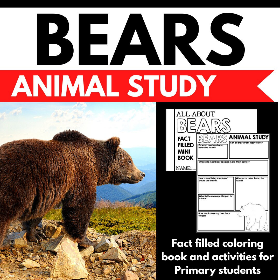 All About Bears Research Project - Animal Study - Bear Facts Reading ...
