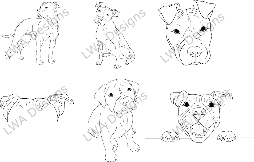 Pitbull Line Drawings - SVG / PDF / PNG - Original, Hand-drawn - Etsy
