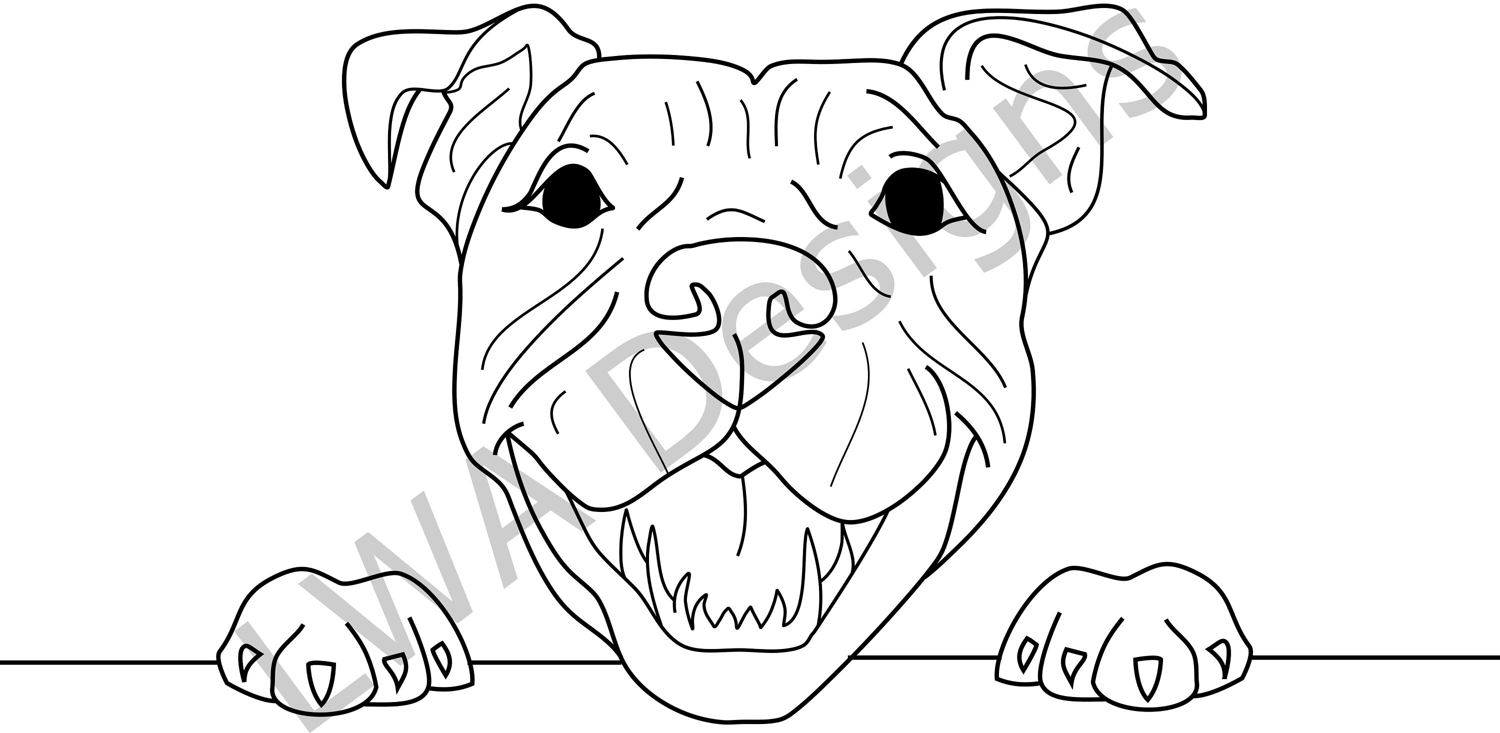 Pitbull Line Drawings - SVG / PDF / PNG - Original, Hand-drawn - Etsy