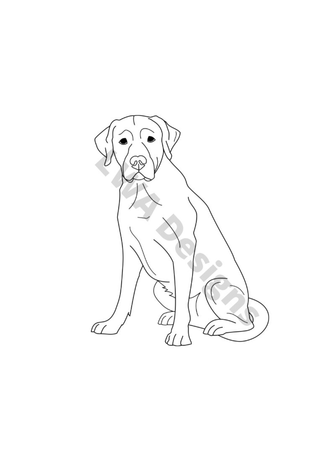 Labrador Line Drawing SVG / PDF / PNG Original, Hand-drawn - Etsy