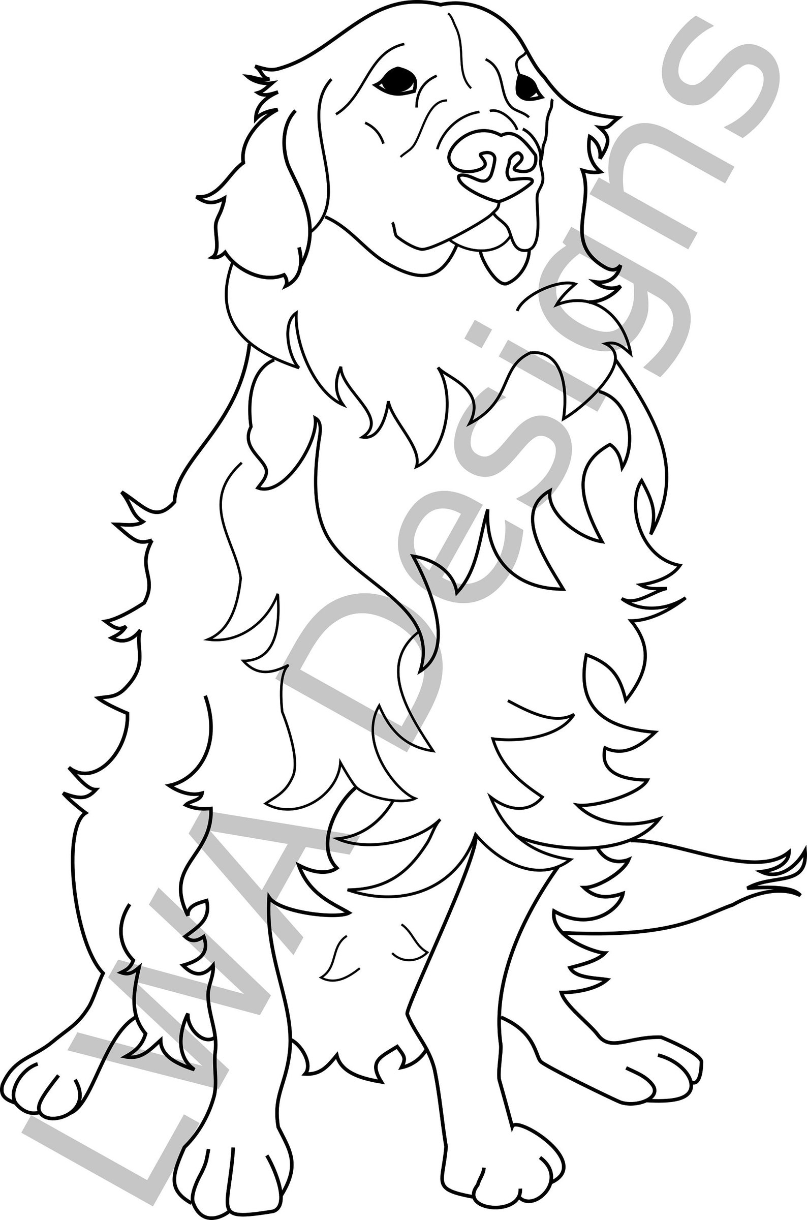 Golden Retriever Line Drawings - SVG / PDF / PNG - Original, Hand-drawn ...
