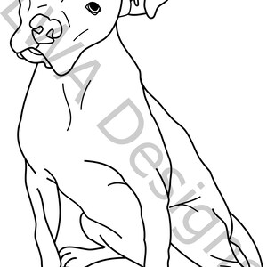 Pitbull Line Drawings - SVG / PDF / PNG - Original, Hand-drawn - Etsy