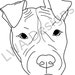 Pitbull Line Drawings SVG / PDF / PNG Original Hand-drawn - Etsy