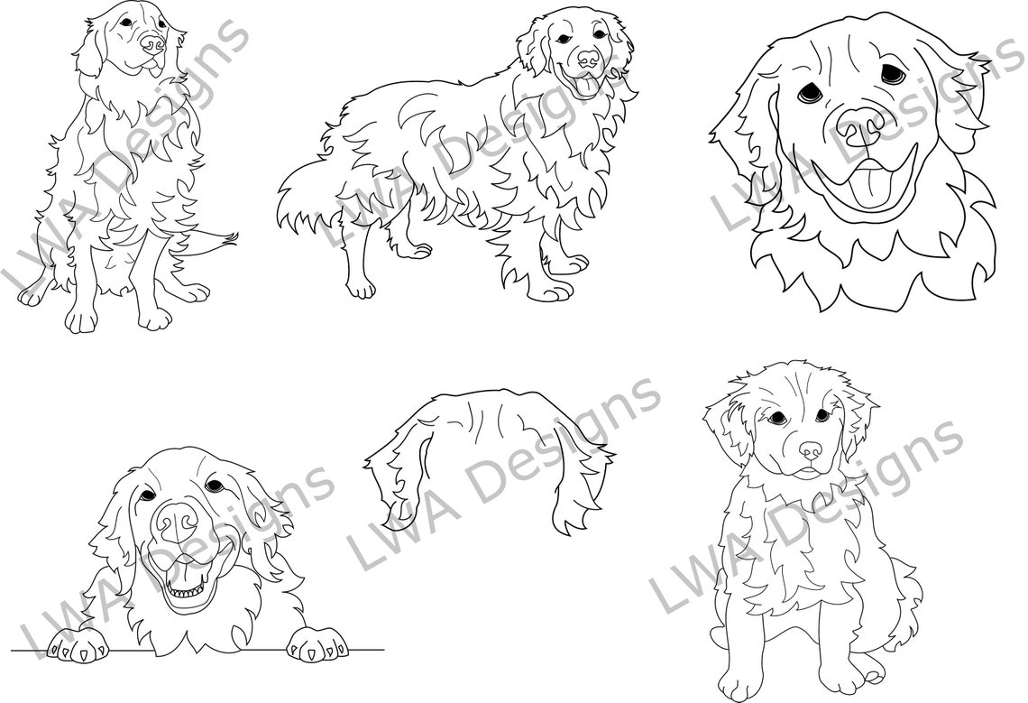 Golden Retriever Line Drawings SVG / PDF / PNG Original - Etsy
