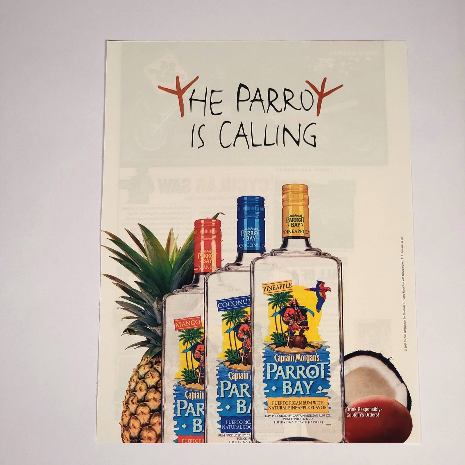 Captain Morgan Parrot Bay the Parrot is Calling - Etsy
