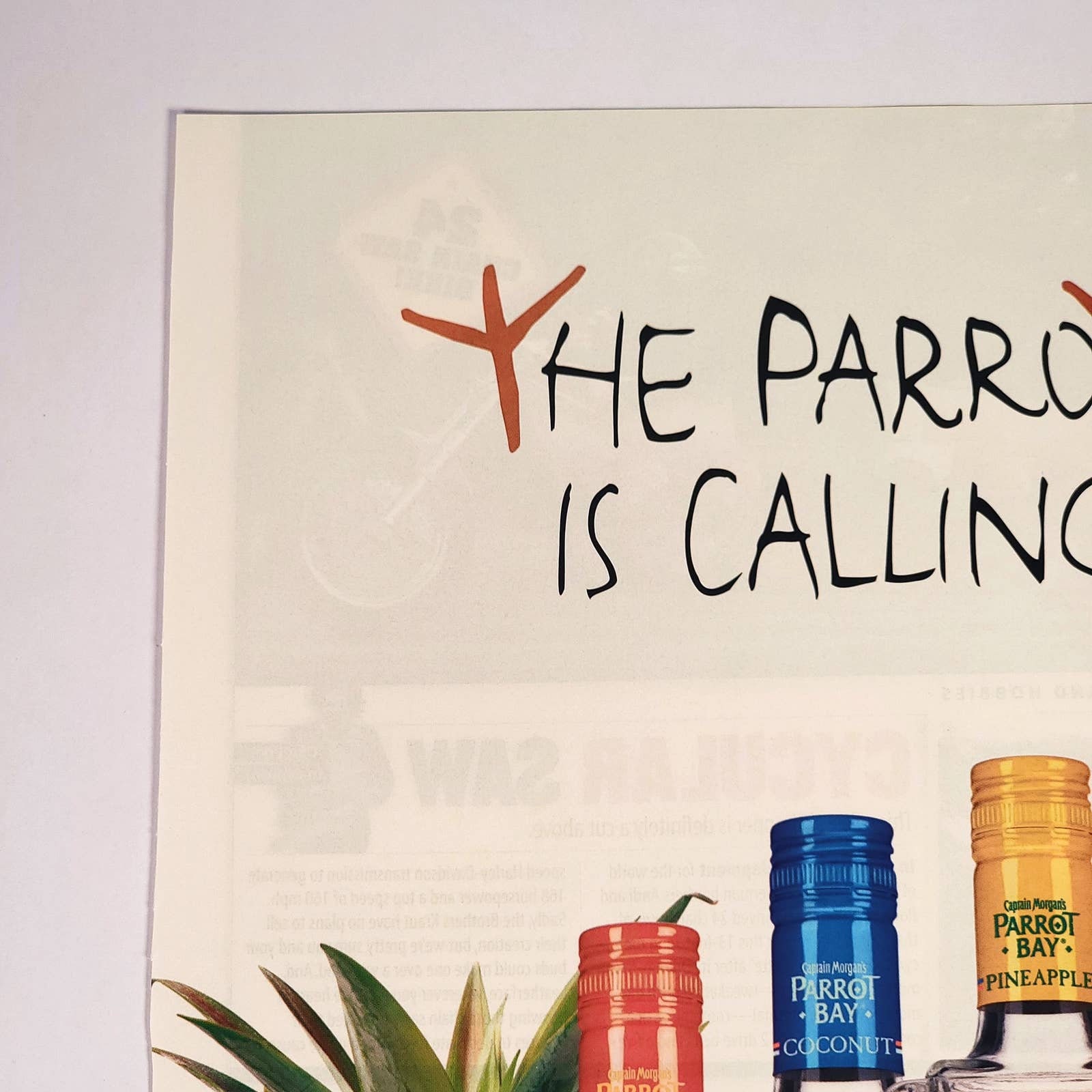 Captain Morgan Parrot Bay the Parrot is Calling - Etsy