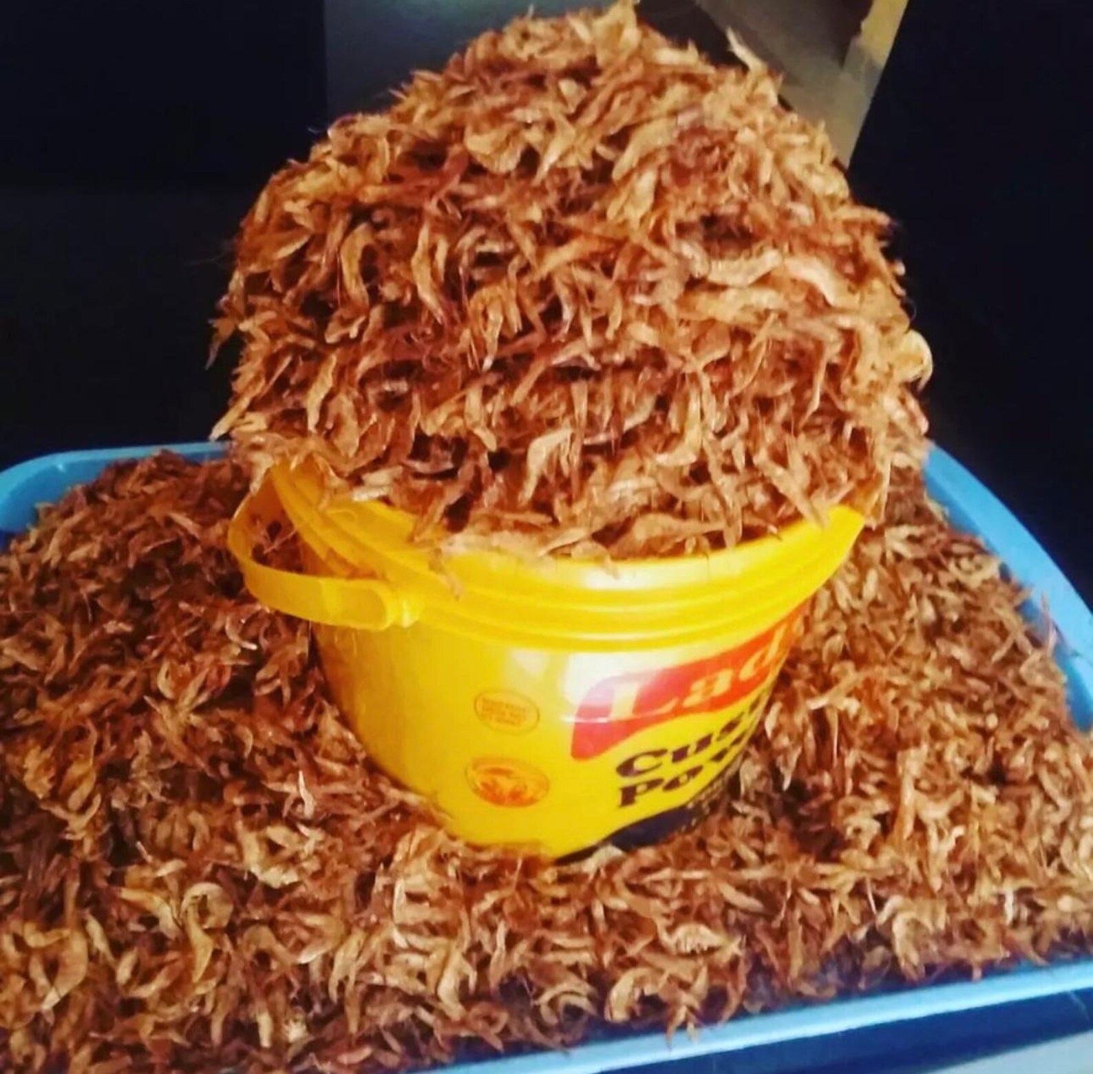 Blended Crayfish/10 OZ - Etsy