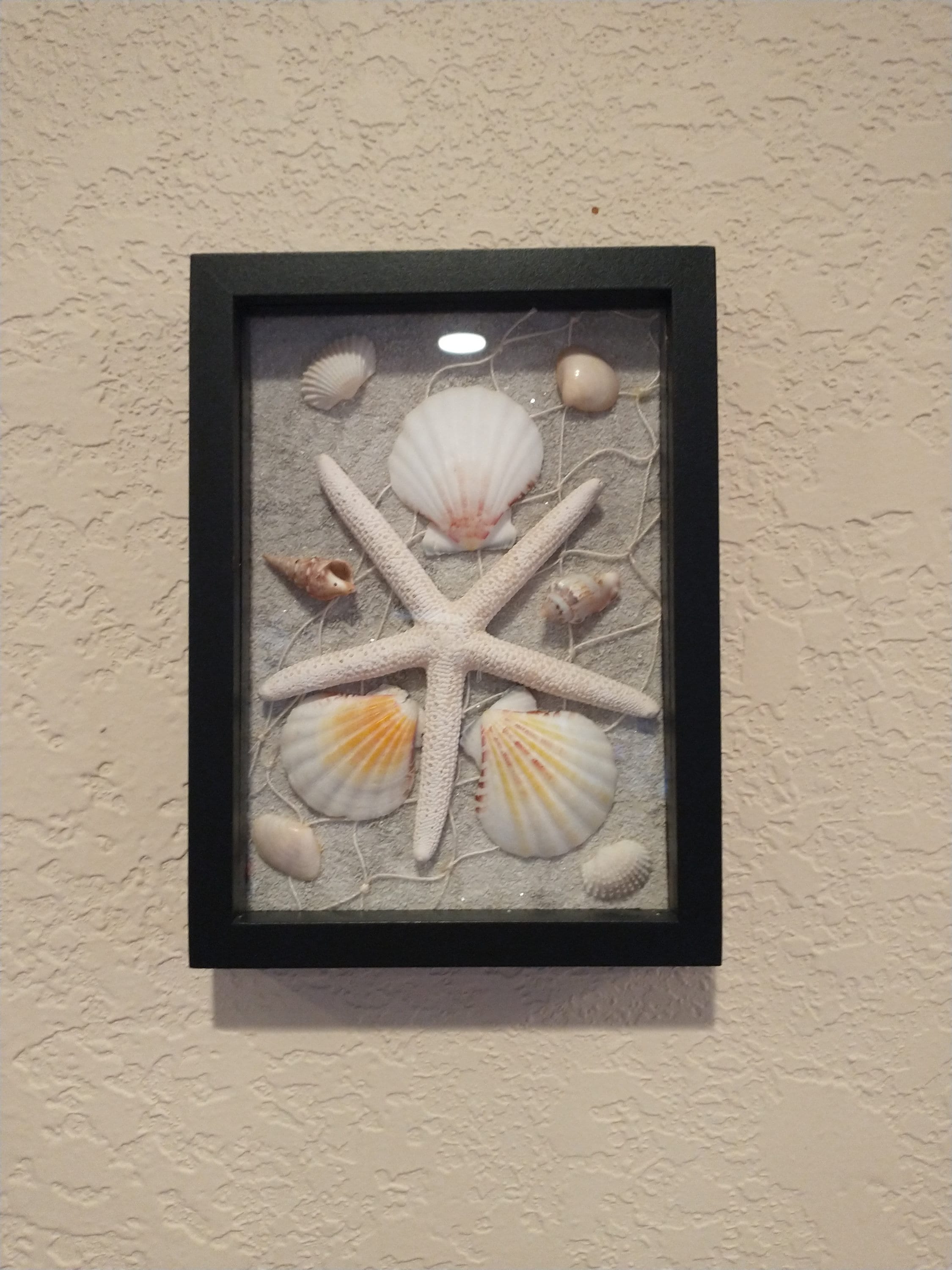 Beach Theme Shadow Boxes - Etsy