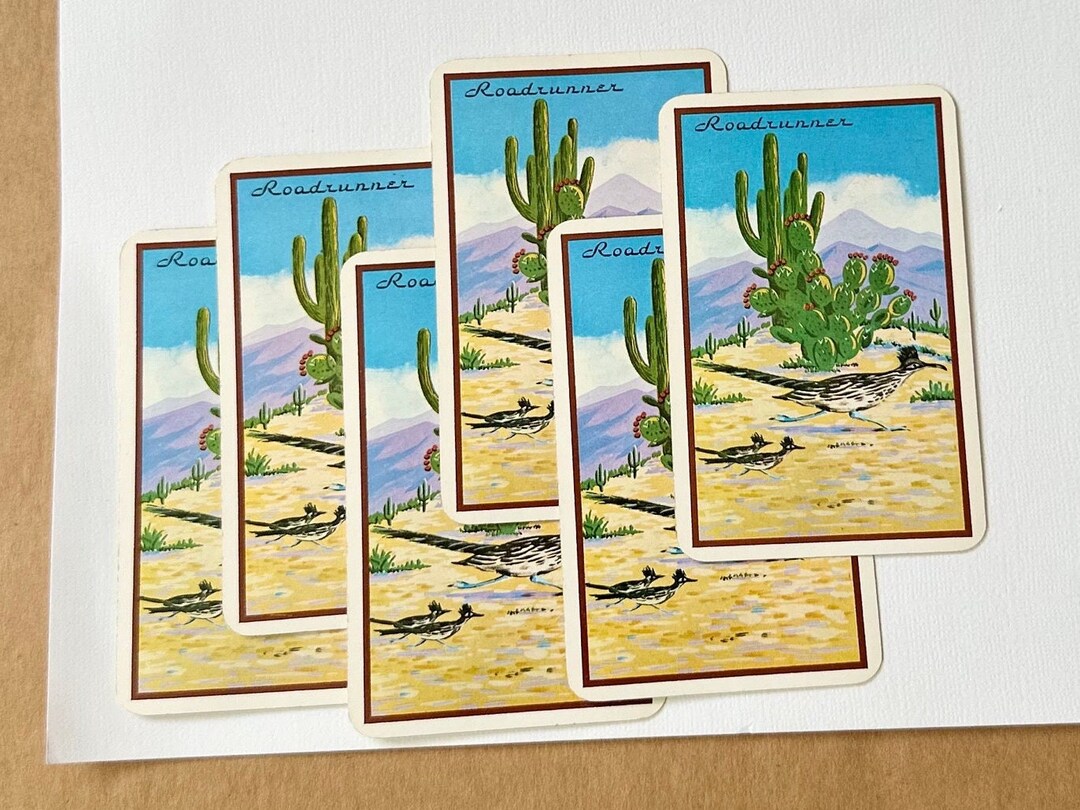 Roadrunner Desert Scene Playing Cards | Vintage - Etsy