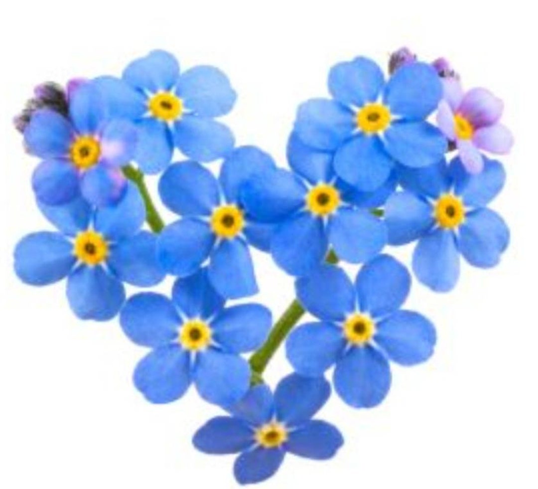 Dementia/ Alzheimer's Forget Me Not 24xedible Pre-cut Rice Paper Cup ...