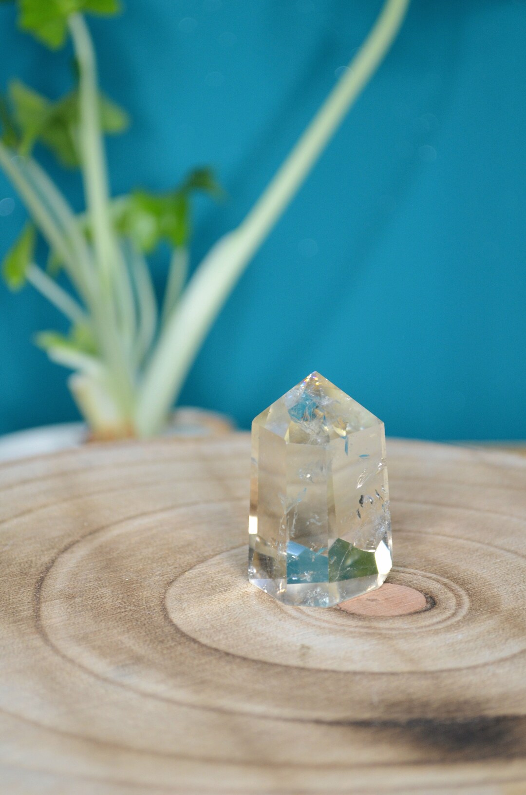 Citrine Citrine Point Untreated Rainbow Flash Point Manifesting ...