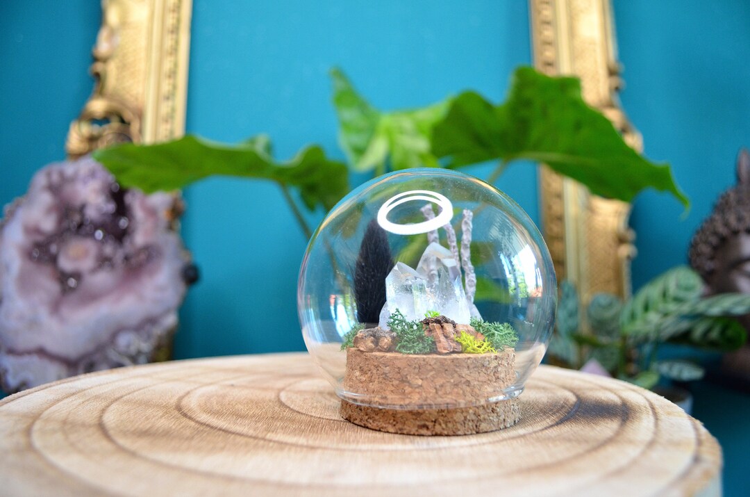 Rock Crystal Wooden Decoration Glass Dome Plastic Glass Bell Wooden ...