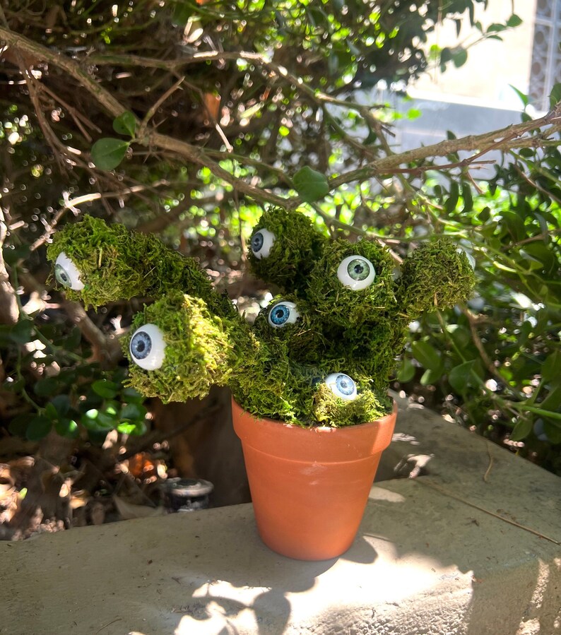 Labyrinth Eye Lichen Movie Prop Replica - Etsy