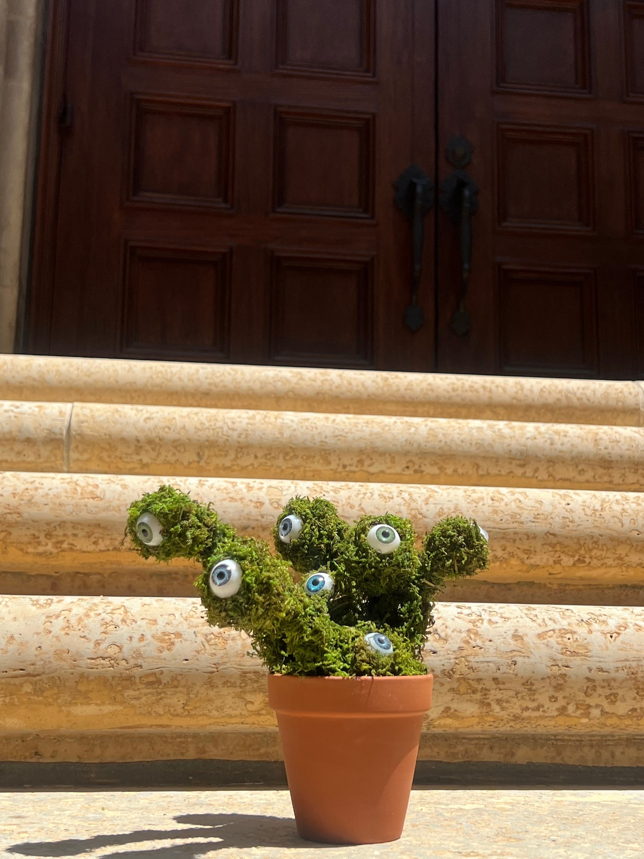 Labyrinth Eye Lichen Movie Prop Replica - Etsy Australia