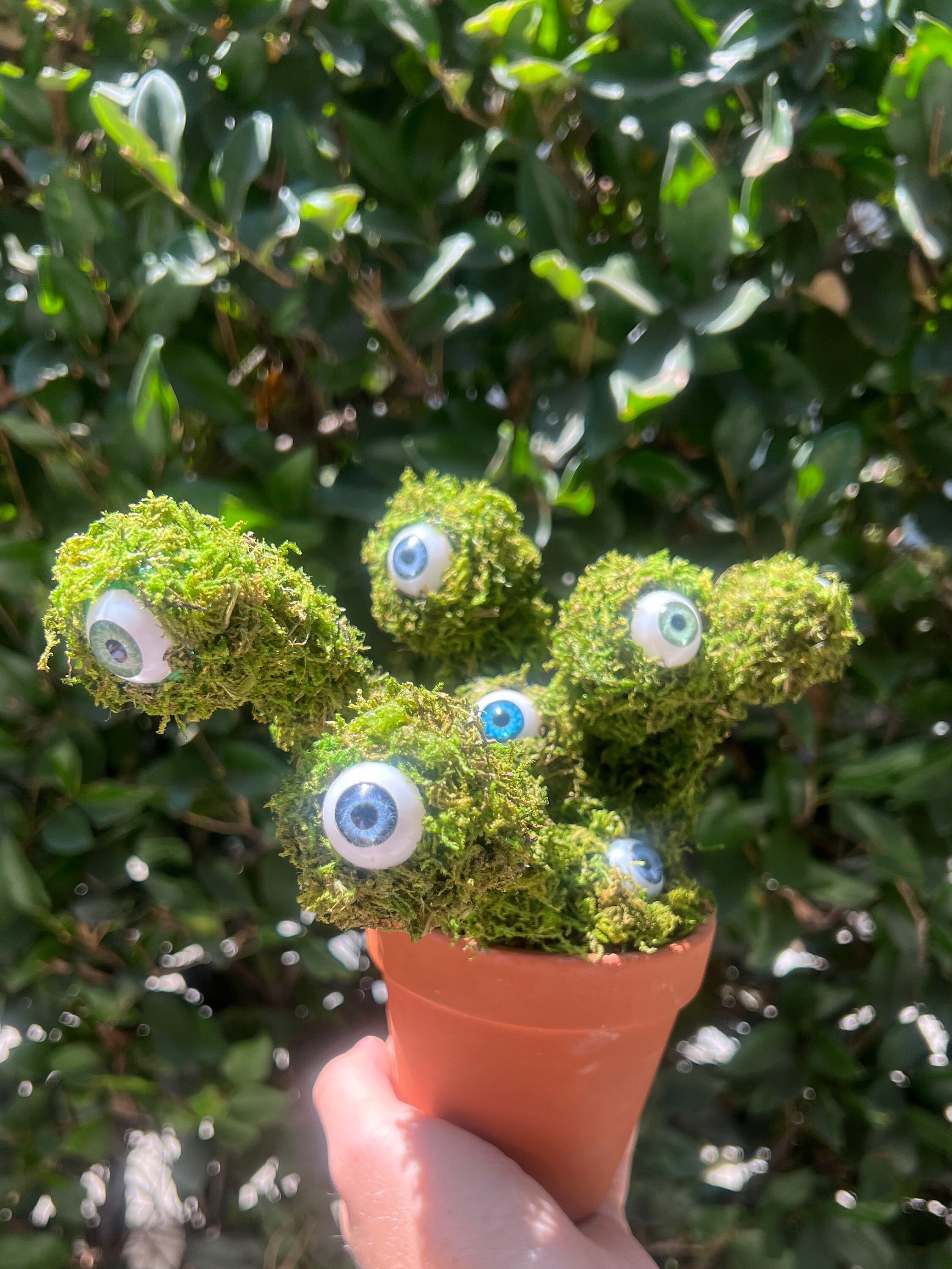 Labyrinth Eye Lichen Movie Prop Replica - Etsy Australia