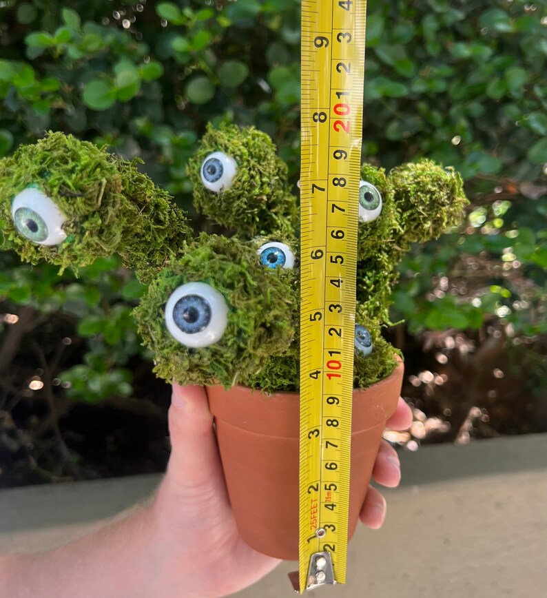 Labyrinth Eye Lichen Movie Prop Replica - Etsy