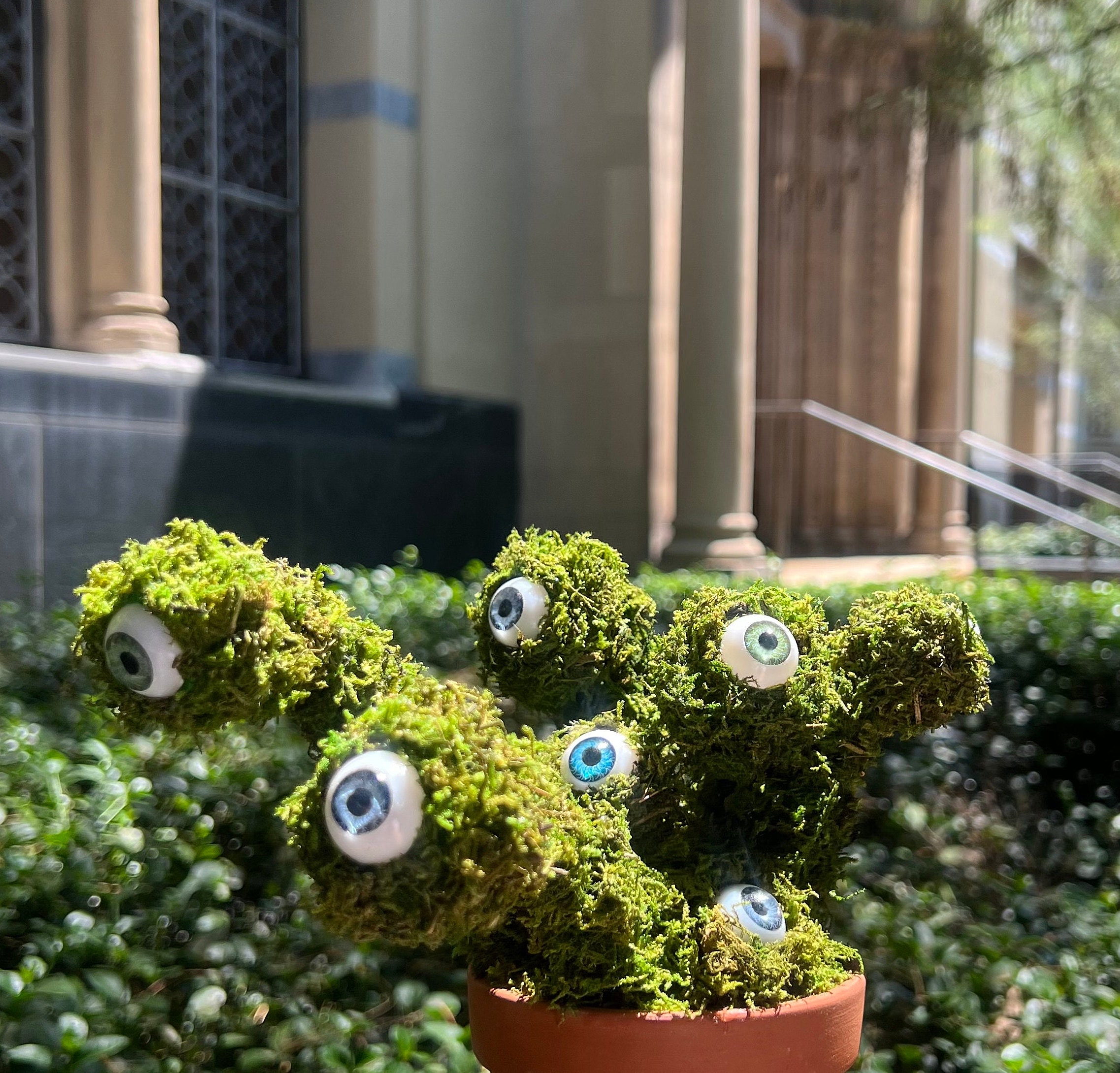 Labyrinth Eye Lichen Movie Prop Replica - Etsy