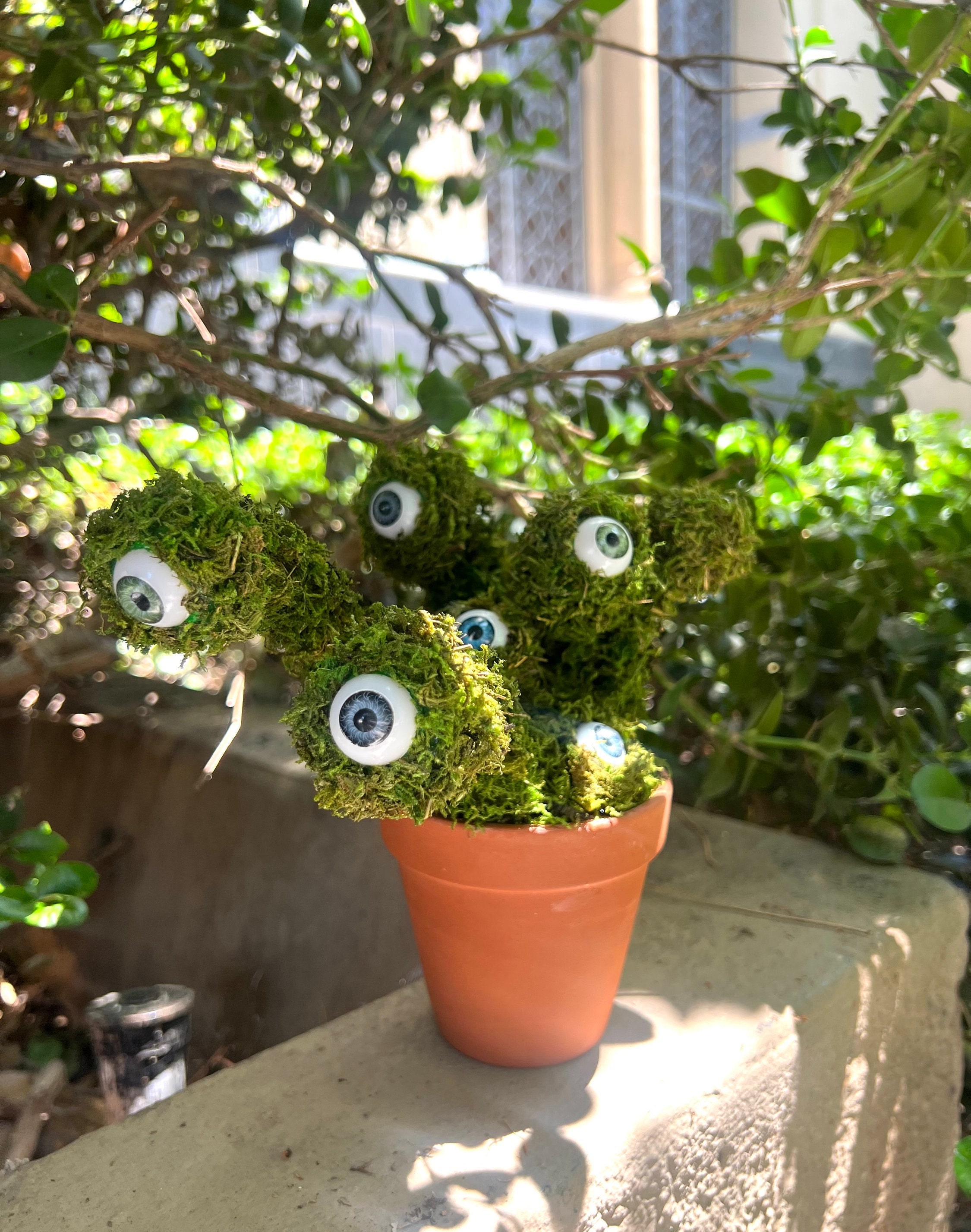 Labyrinth Eye Lichen Movie Prop Replica - Etsy