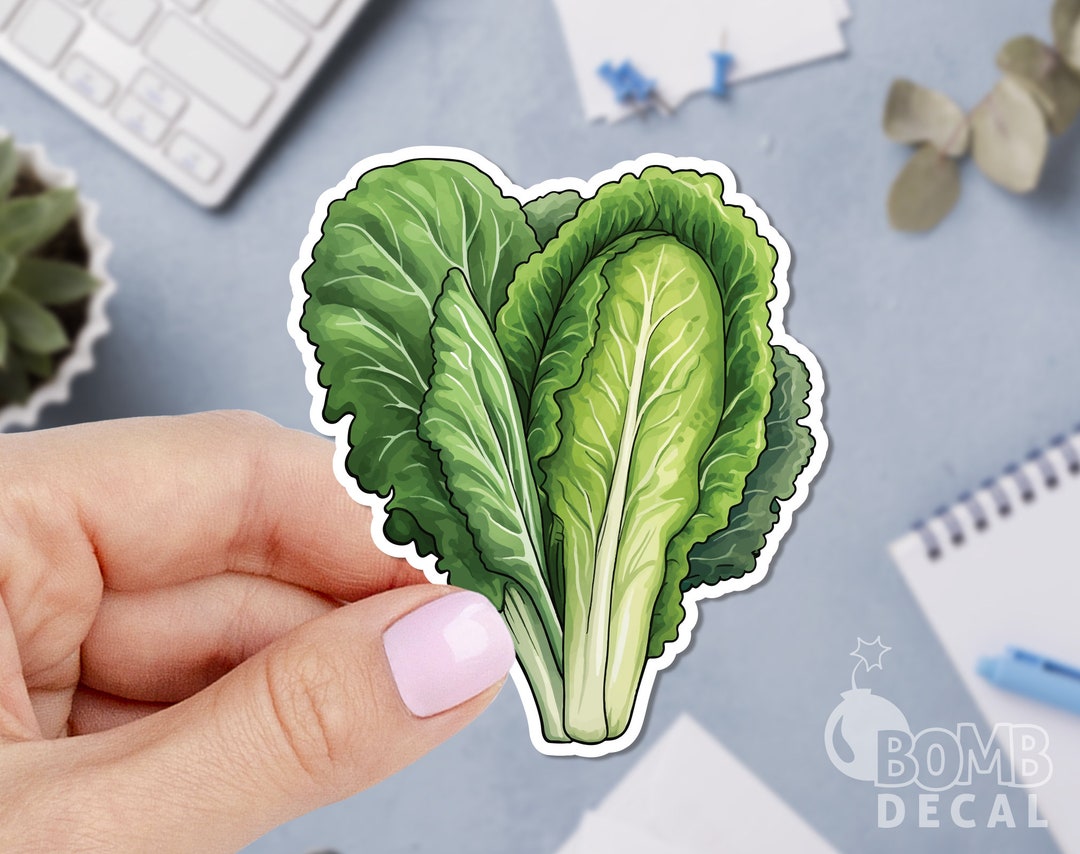 Salad Sticker, Food Sticker, Watercolor Sticker, Health Sticker, Veggie ...