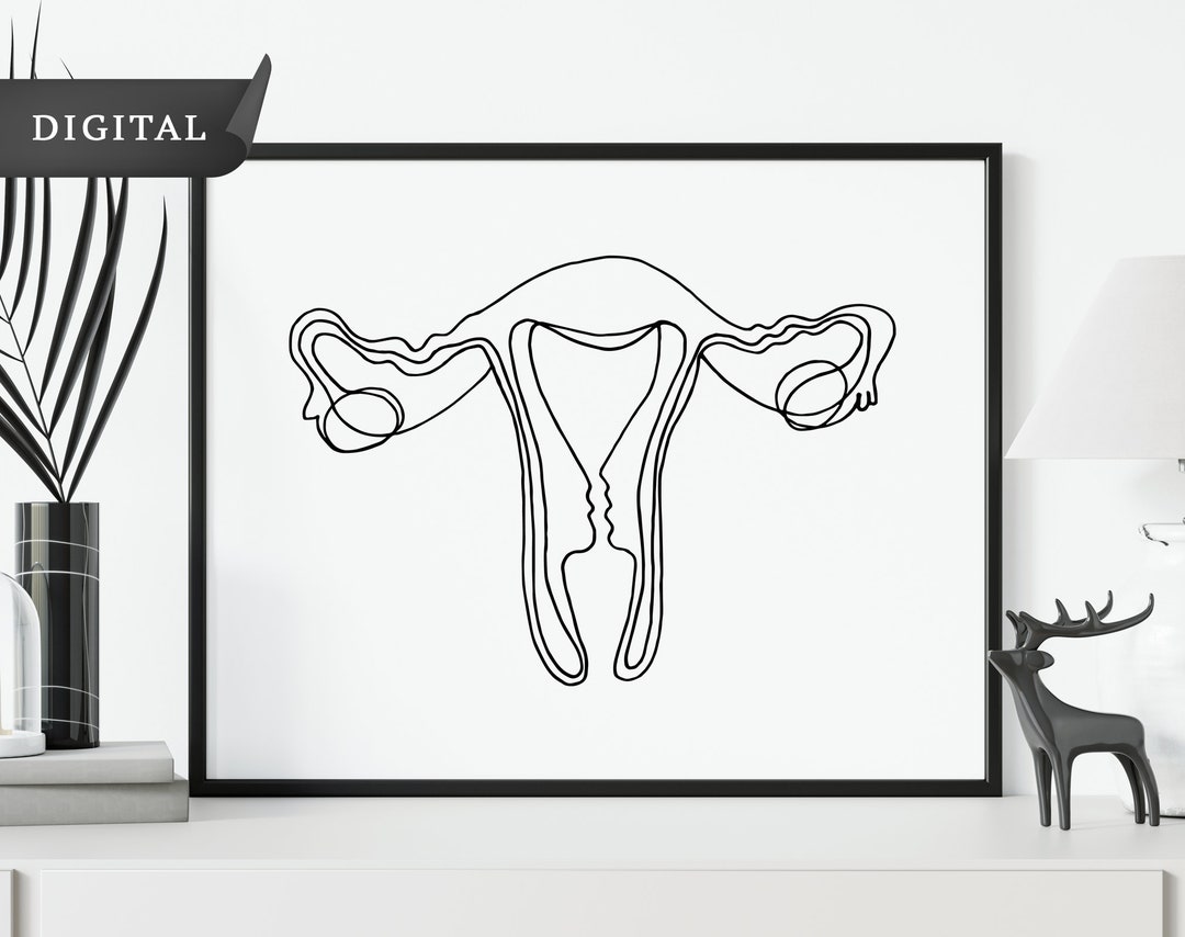 Anatomical Uterus SVG, Digital Print Illustration, Uterus Line Art ...