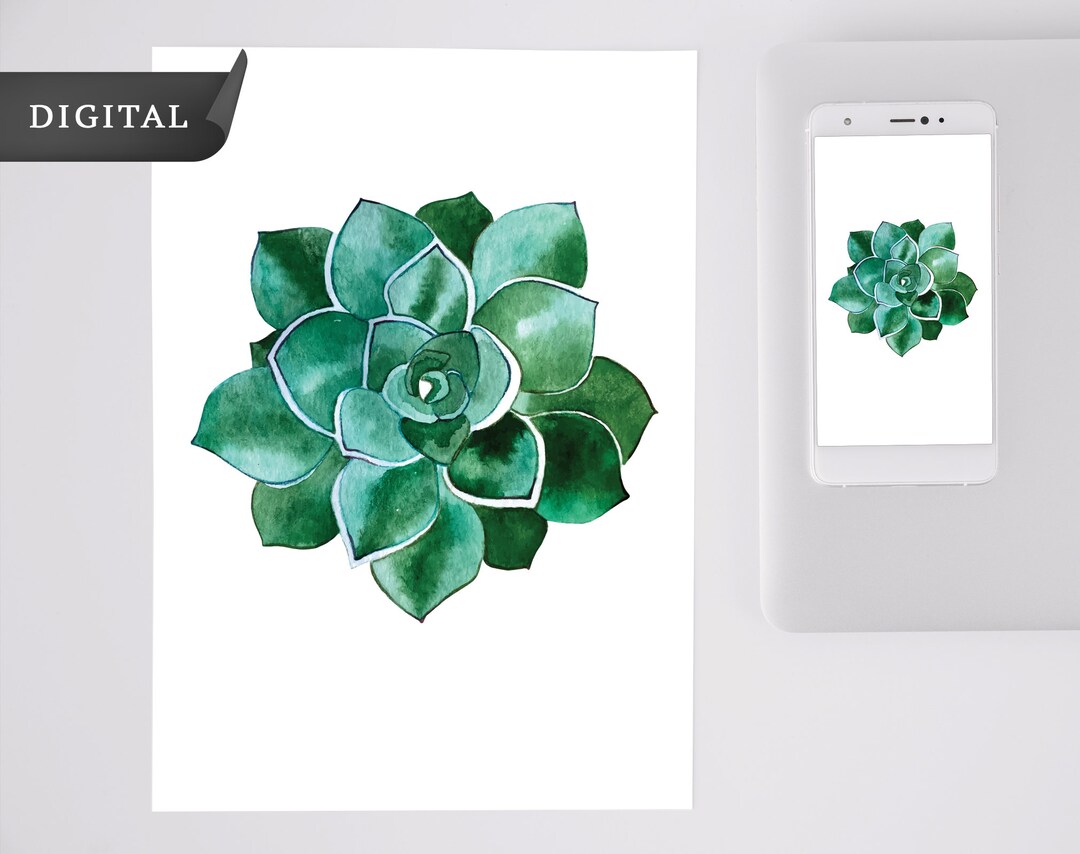 Printable Watercolor Succulent, Flower Digital Illustration, Floral ...