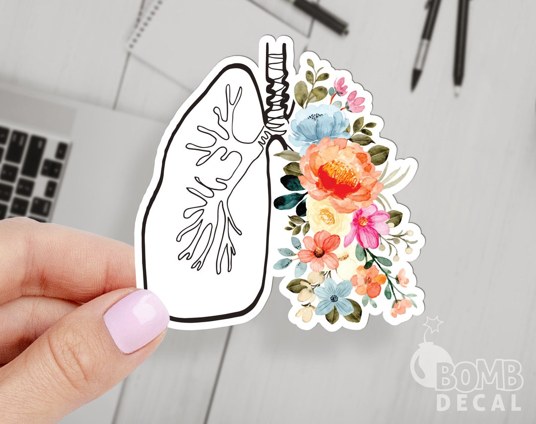 Floral Lungs Anatomy Sticker: Line Art Biology Decal - Etsy