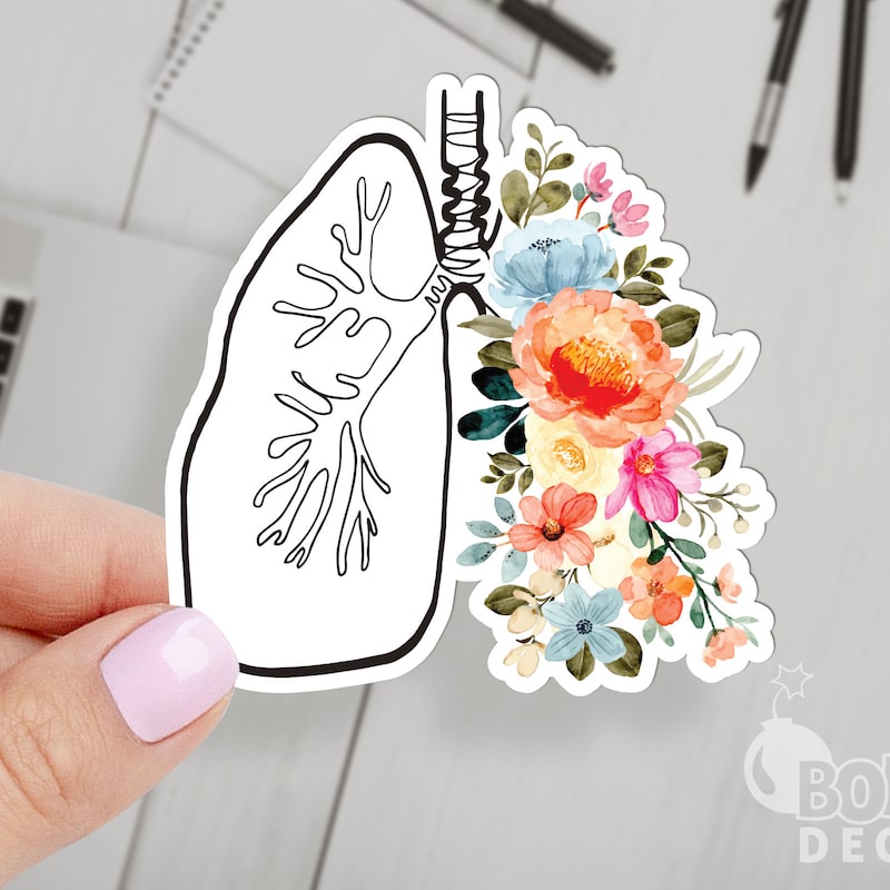 Biology Line Art - Etsy