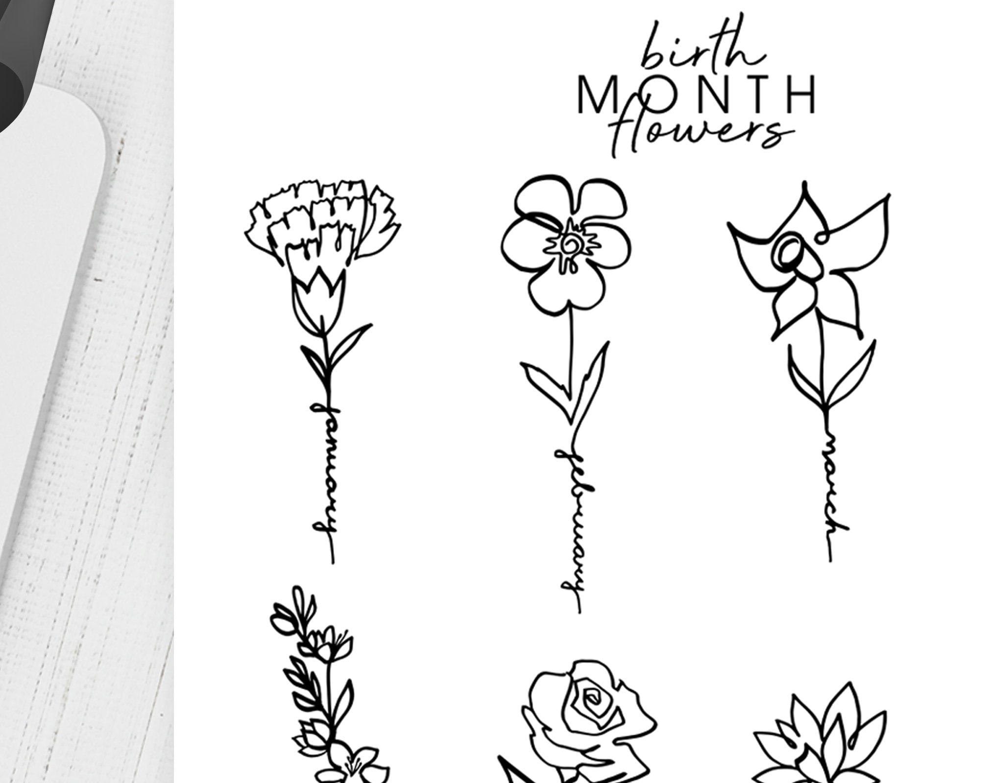 Birth Month Flowers Digital Illustrations, Month Flower SVG, Line Art ...