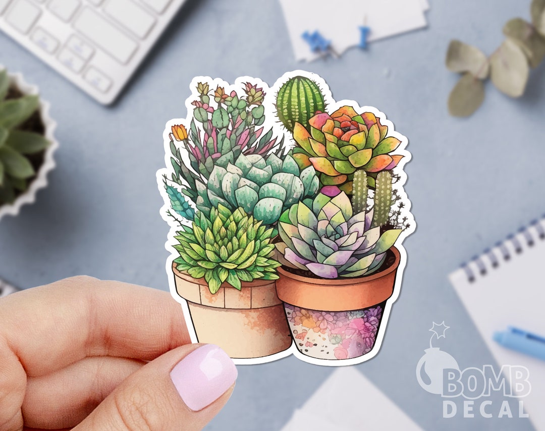 Succulents Sticker, Flower Sticker, Beautiful Sticker, Plant Sticker ...