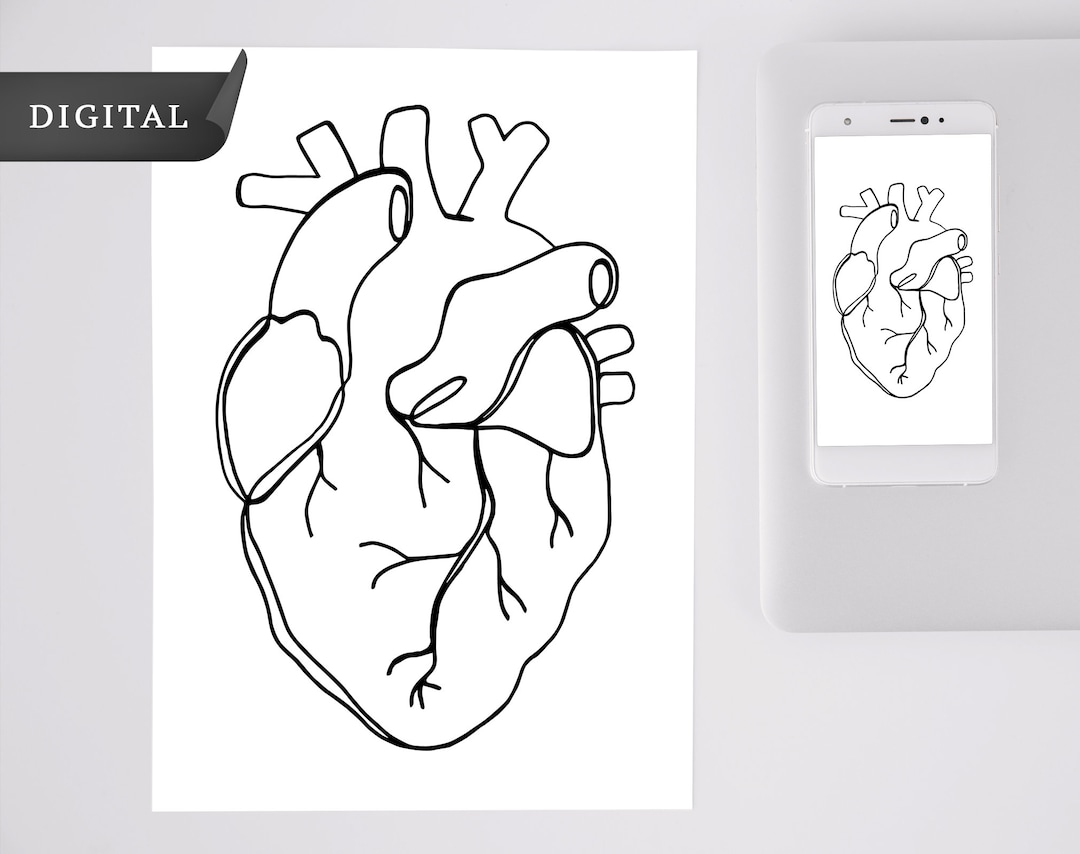 Anatomical Heart Digital Illustration, Nursery SVG, Human Anatomy Print ...