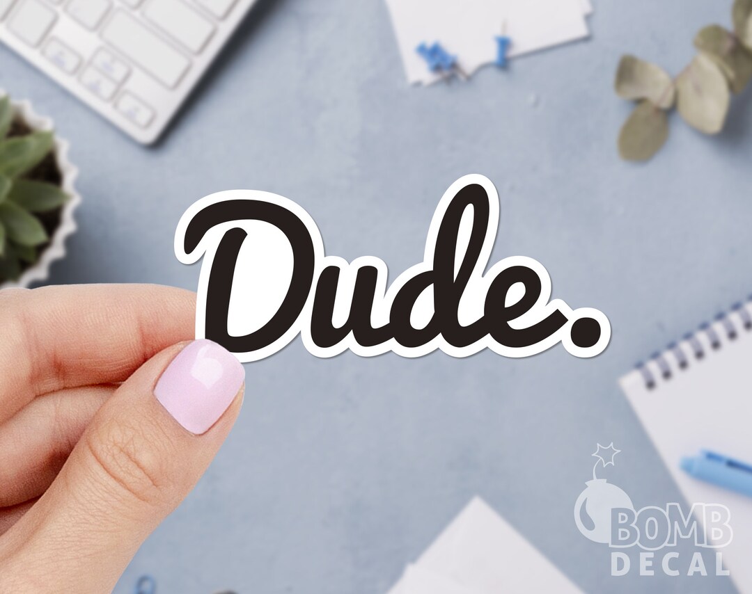 Dude Sticker, Dude Decal, Funny Sticker, Laptop Sticker, Water Bottle ...