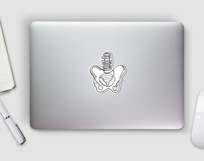 Hip Bones Sticker, Medical Humor, Funny Ortho Decal, Line Art Sticker ...