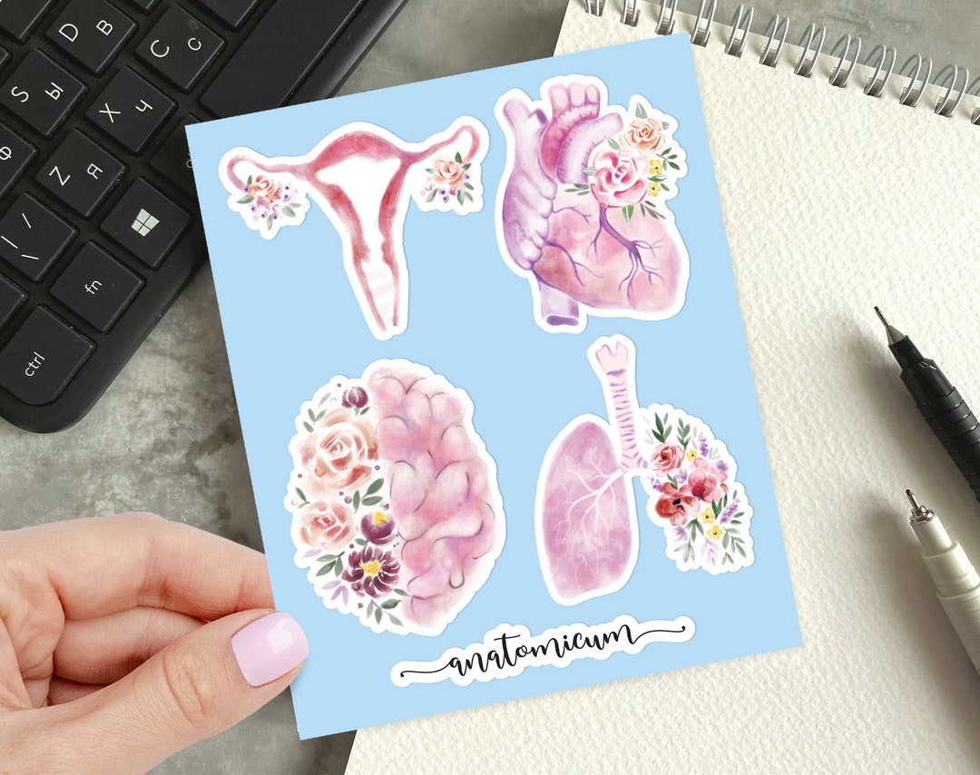 Floral Anatomy Sticker Sheet: Watercolor Organ Stickers - Etsy