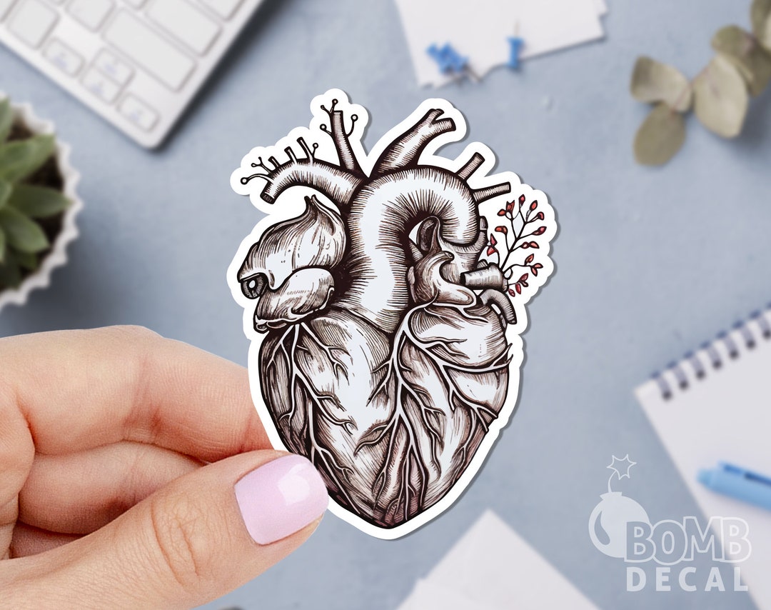 Anatomy Heart Sticker, Sketch Heart Sticker, Anatomical Sticker ...