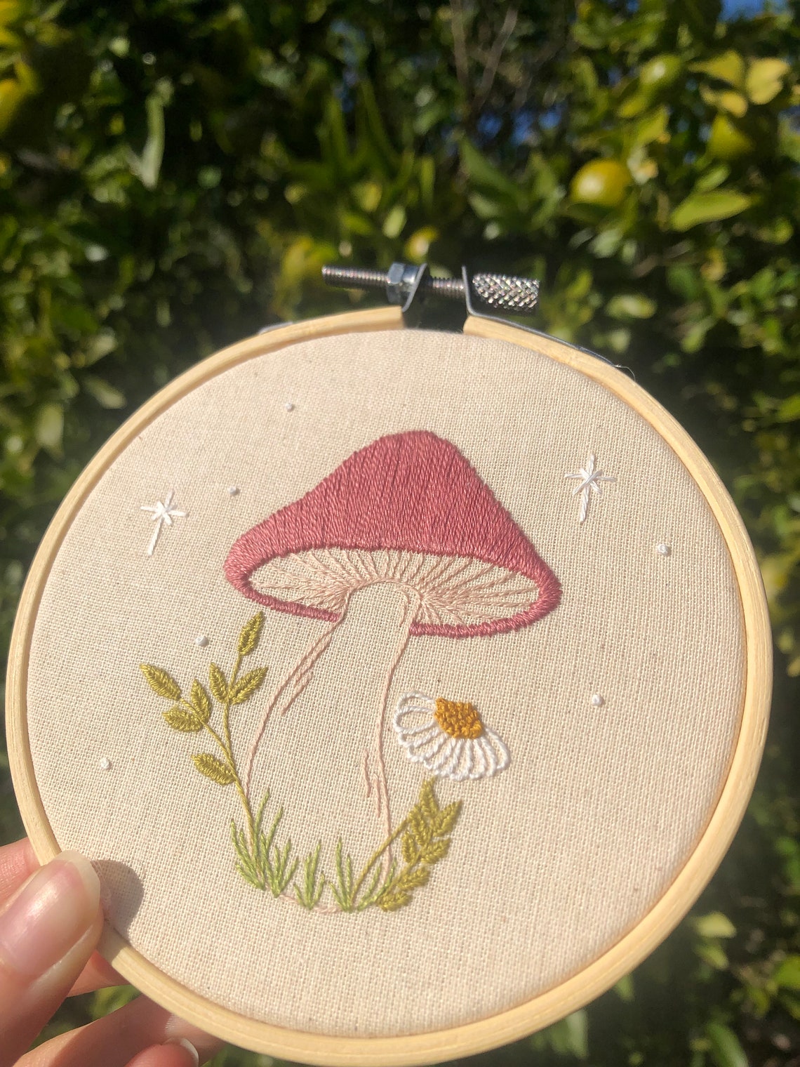 Mini Red Mushroom Digital Pattern Hand Embroidery Paint - Etsy