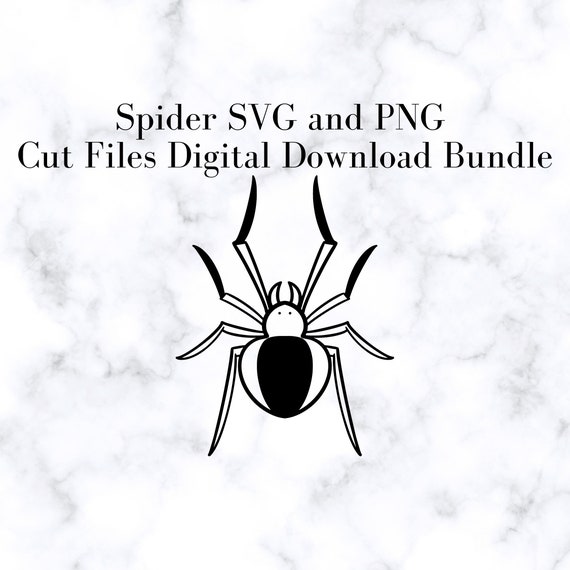 Spider SVG and PNG Cut Files Digital Download Bundle | Etsy
