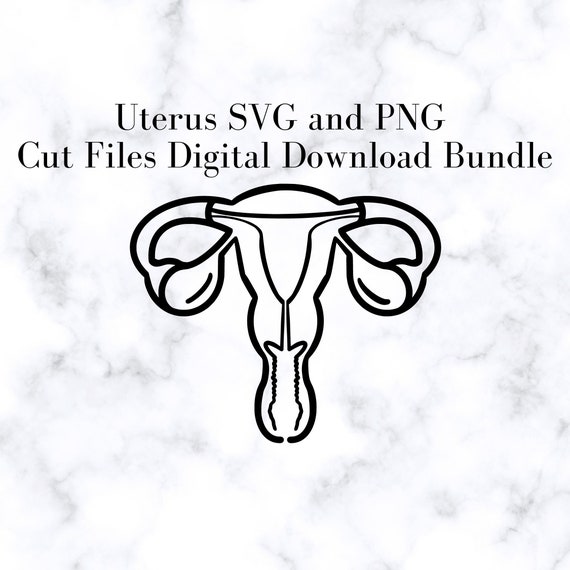Uterus SVG and PNG Cut Files Digital Download Bundle | Etsy
