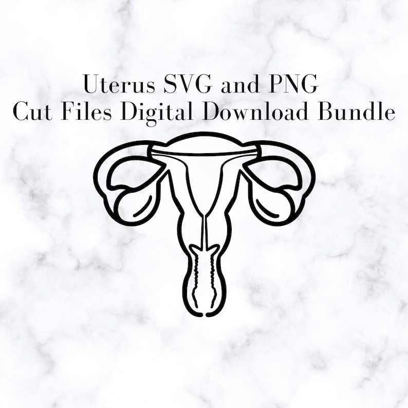 Uterus SVG and PNG Cut Files, Digital Download Bundle - Etsy