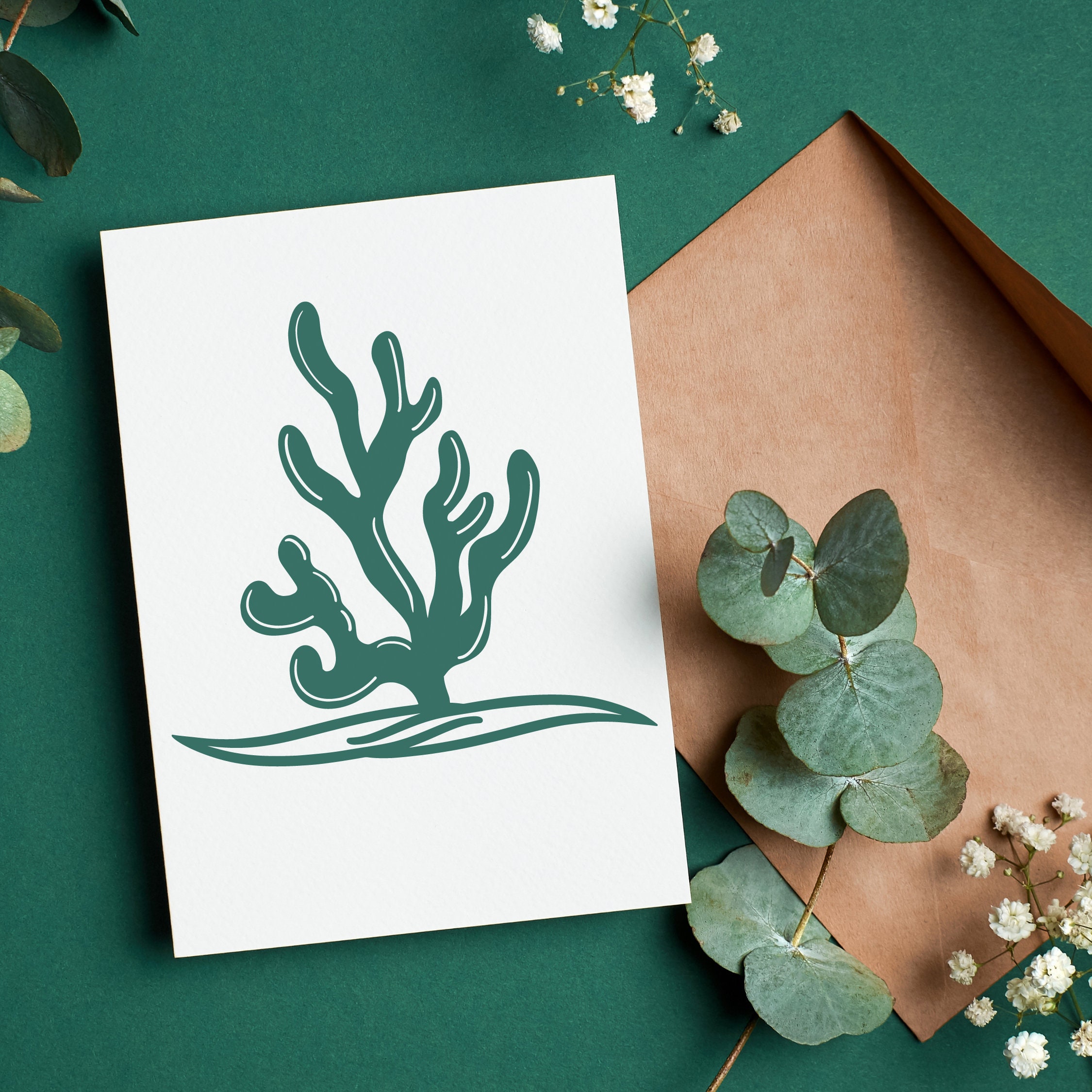 Coral Reef SVG and PNG Cut Files Digital Download Bundle - Etsy